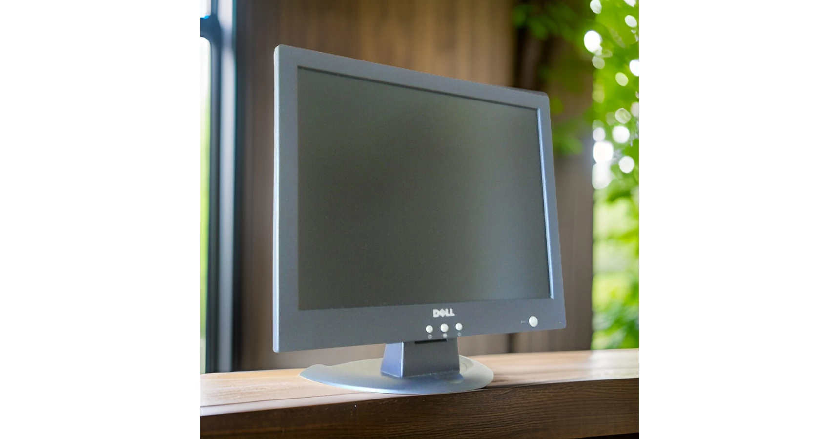 Dell E151FPp VGA/15 Monitor LCD monitor | NaniPC