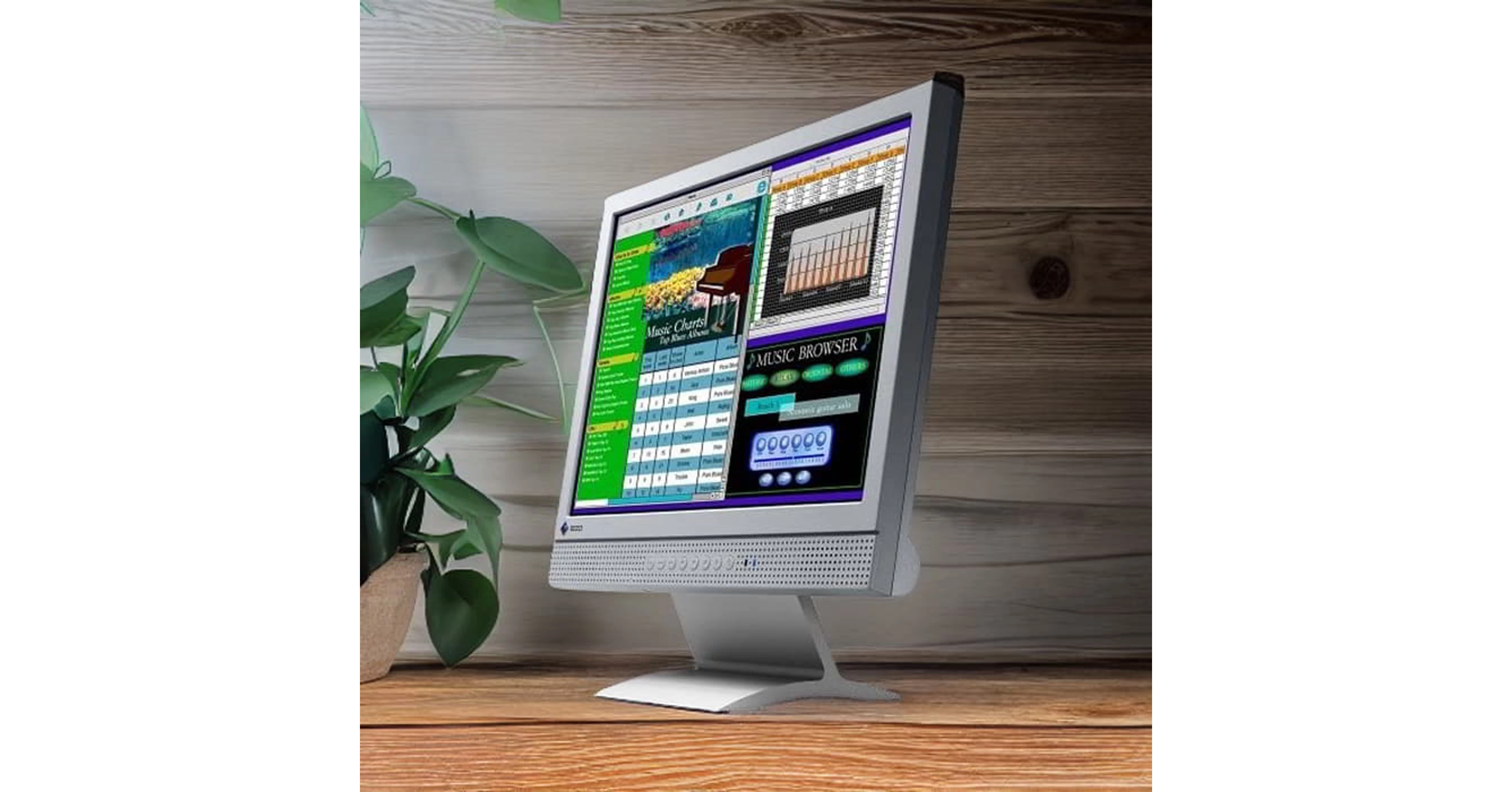 EIZO FlexScan L365 Monitor 15 DVI-D/ VGA | NaniPC